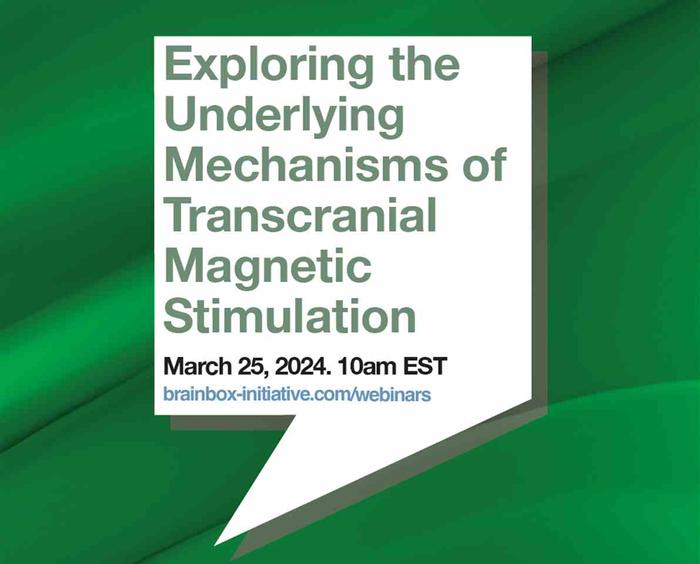 开源非侵入性脑刺激仿真模拟软件SimNIBS简介