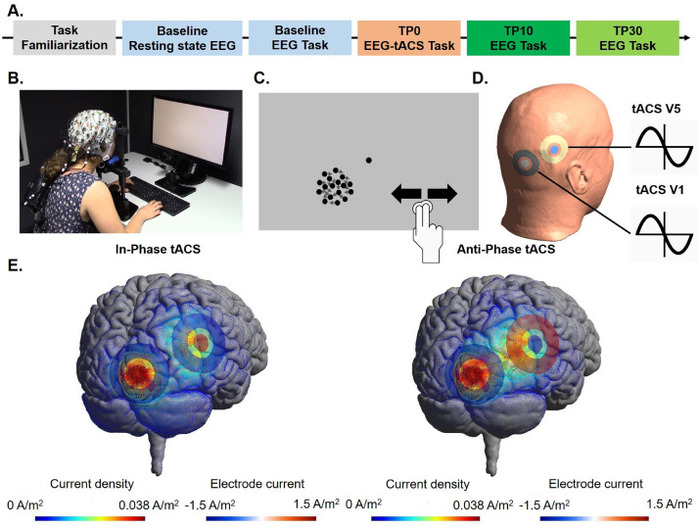 开源非侵入性脑刺激仿真模拟软件SimNIBS简介