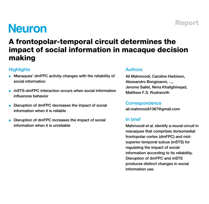 脑盒科技官网 | NeuroFUS经颅聚焦超声刺激仪_NeuroConn经颅电刺激仪_中国总代理